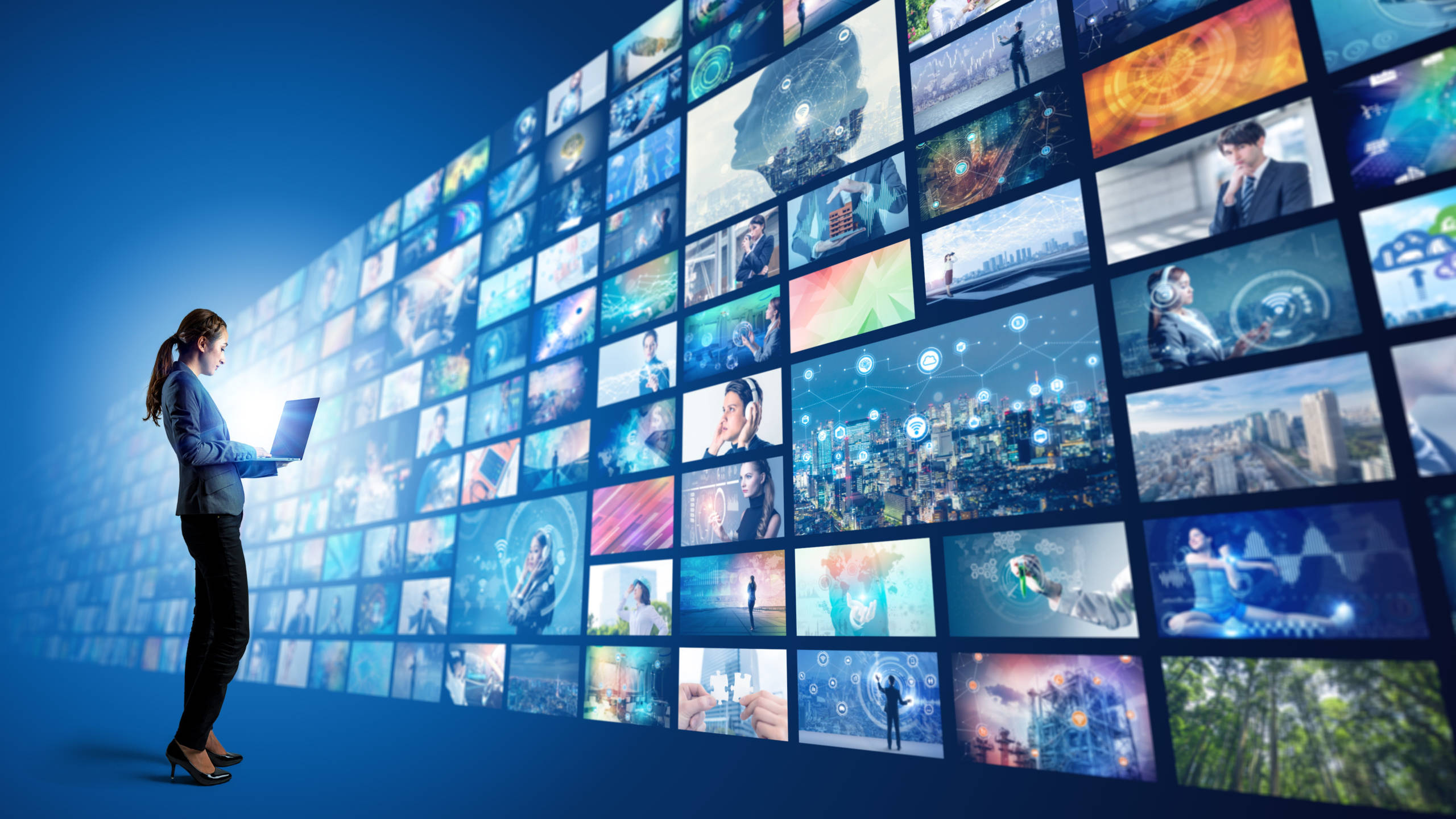 Facets of Media Law - EBC
